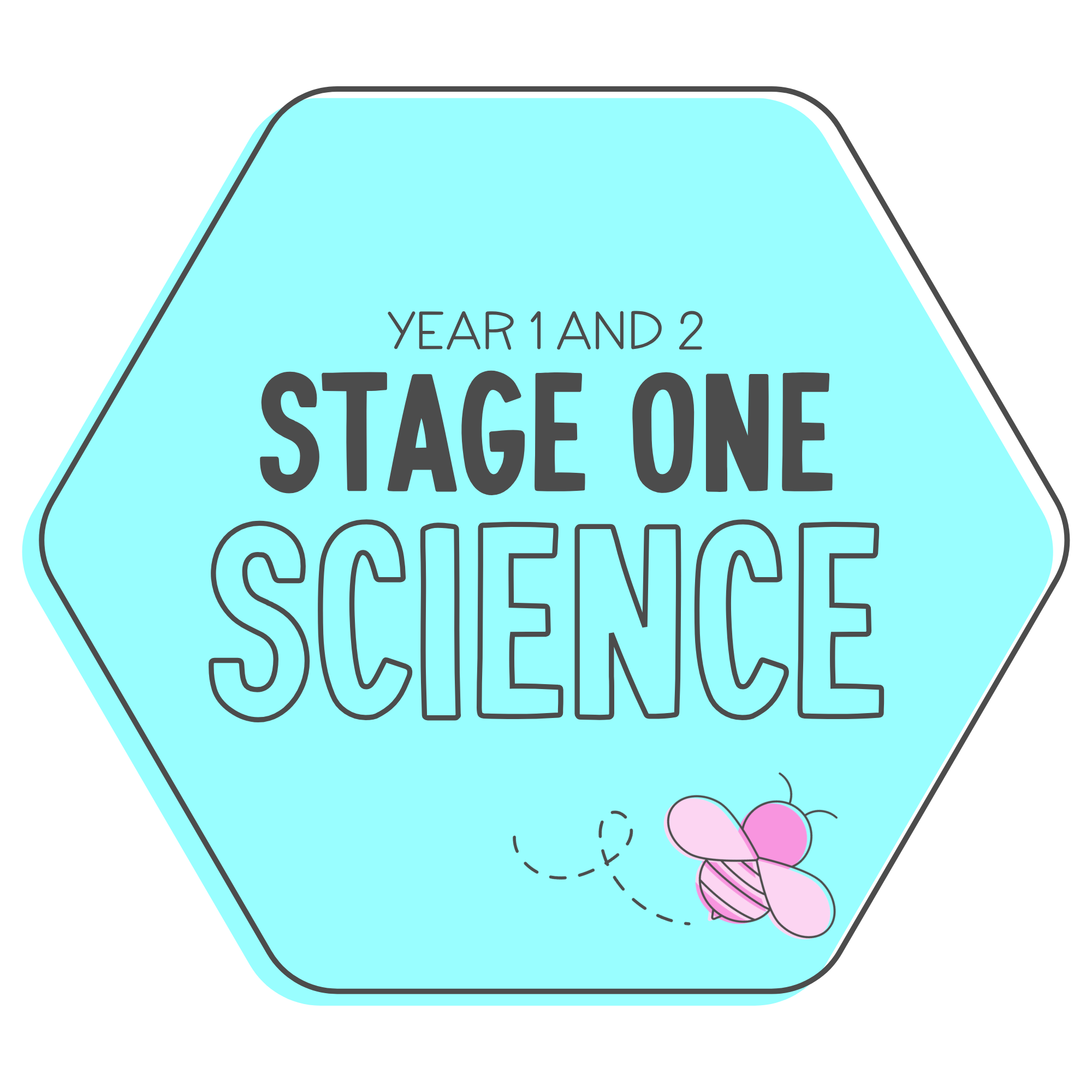Stage 1 - Science Resources – The Busy Honey Bee