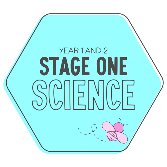 Stage 1 Year A - NSW Maths – The Busy Honey Bee
