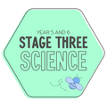 Stage 3 Year A - NSW Maths – The Busy Honey Bee