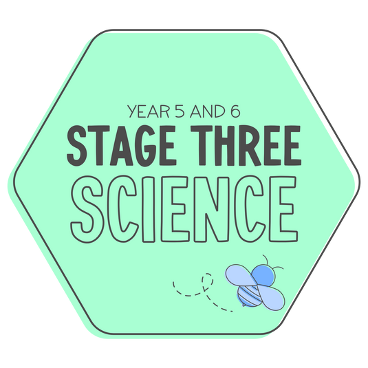 Stage 3 Year A - NSW Maths – The Busy Honey Bee