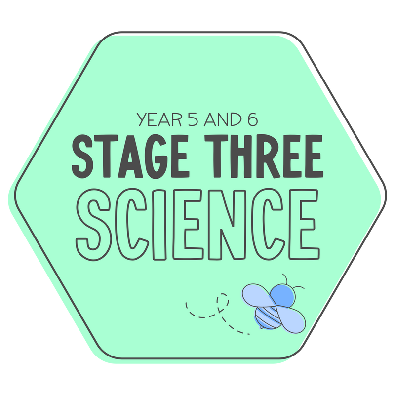 Stage 3 Year A - NSW Maths – The Busy Honey Bee